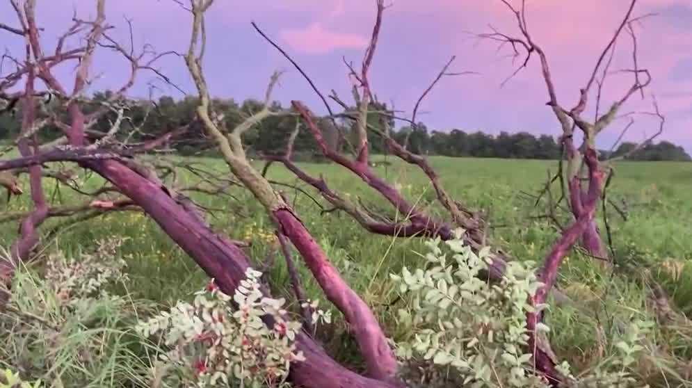 Thousands without power after more storms Thousands without power after more storms