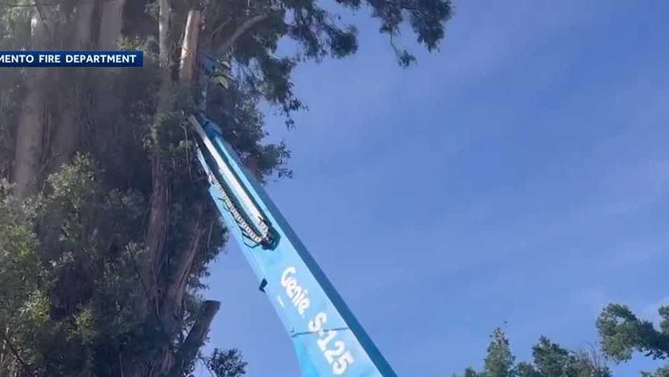 Tree workers rescued in Sacramento after boom lift gets stuck