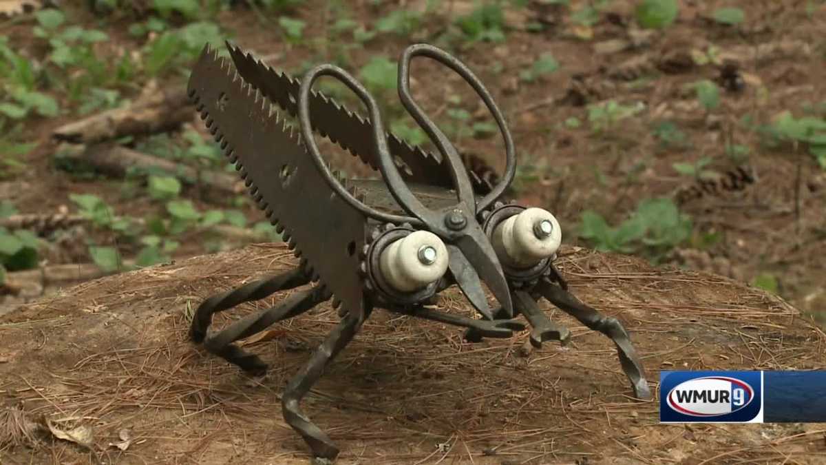 Grow It Green: Insect art