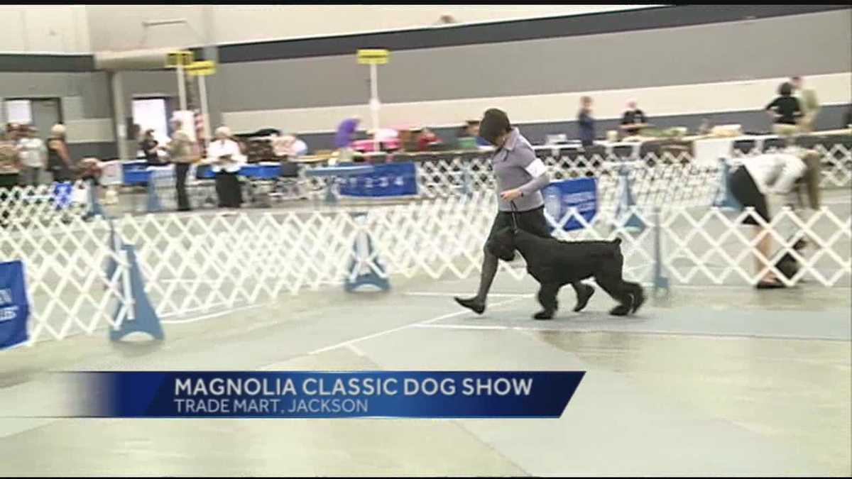 Dogs compete in Magnolia Classic
