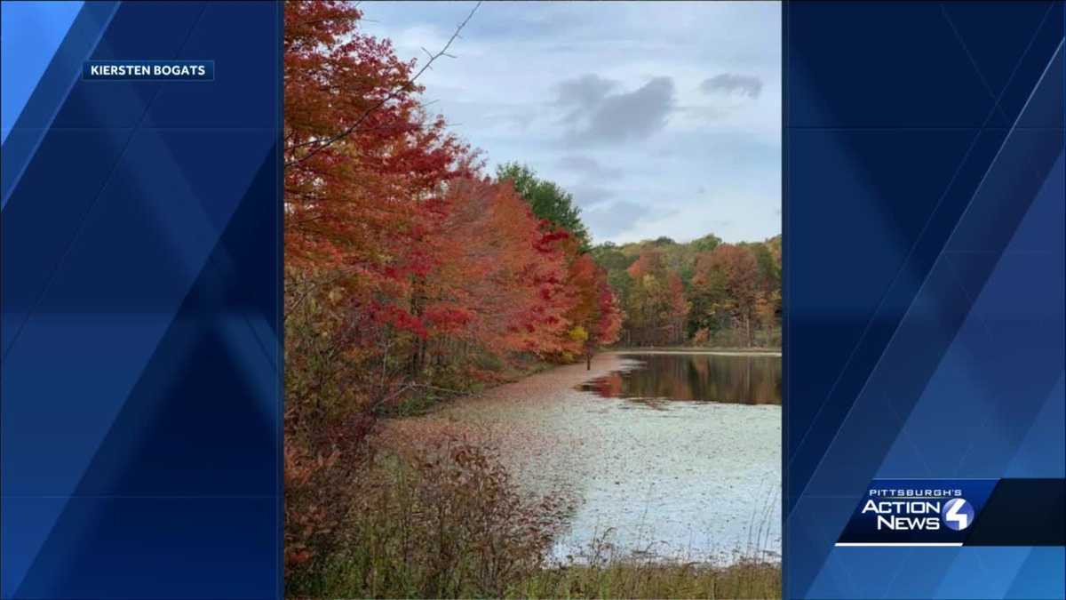Fall foliage nearing its peak in most of southwestern Pa.
