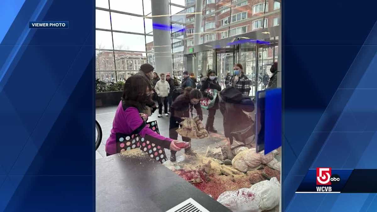 Protester arrested after demonstration at Boston Chase bank