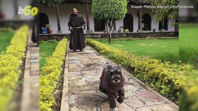 Meet the Cutest Friar at the Franciscan Monastery