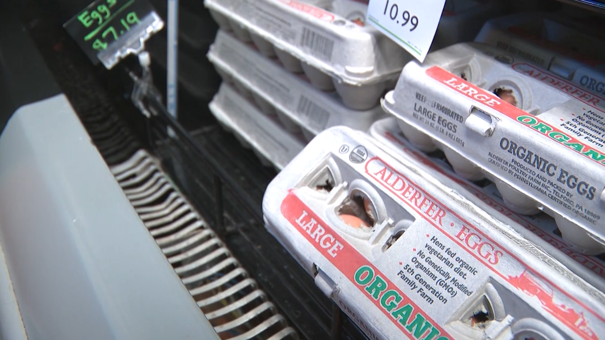 Massachusetts farmers concerned amid bird flu outbreak, high inflation