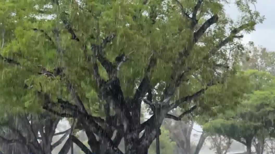 Collier County residents welcome rain, while under Flood Watch