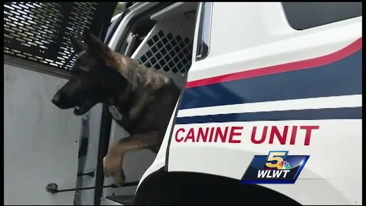 Middletown police dog Chase lives up to name