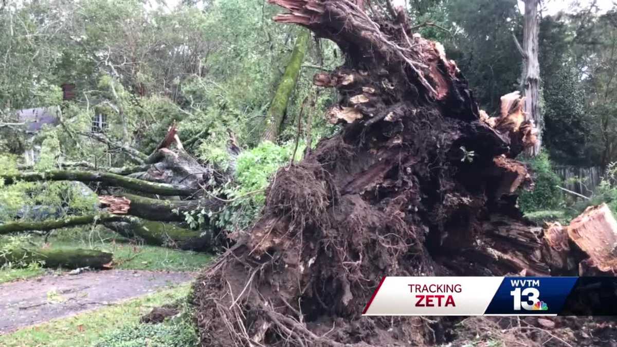 Cleanup begins after Zeta zips through Alabama