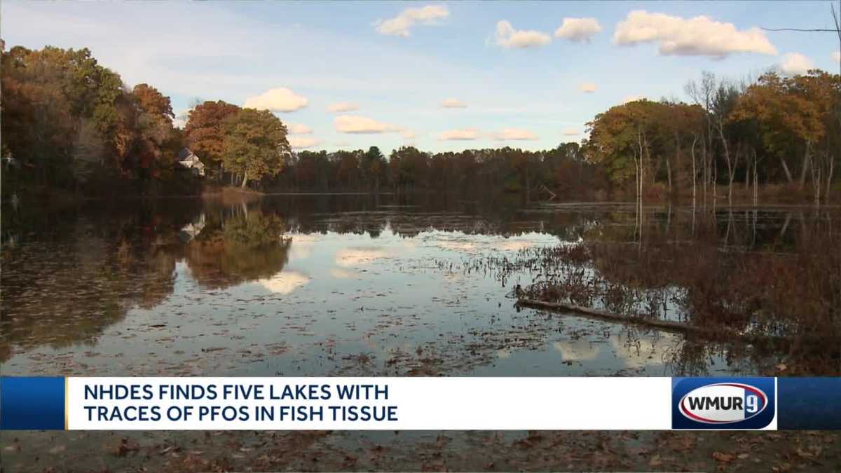 Warning issued about children consuming fish from some NH ponds