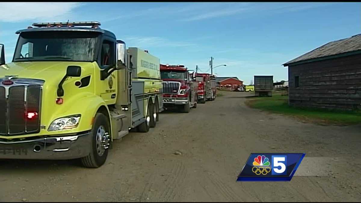 Calves saved from Champlain barn fire