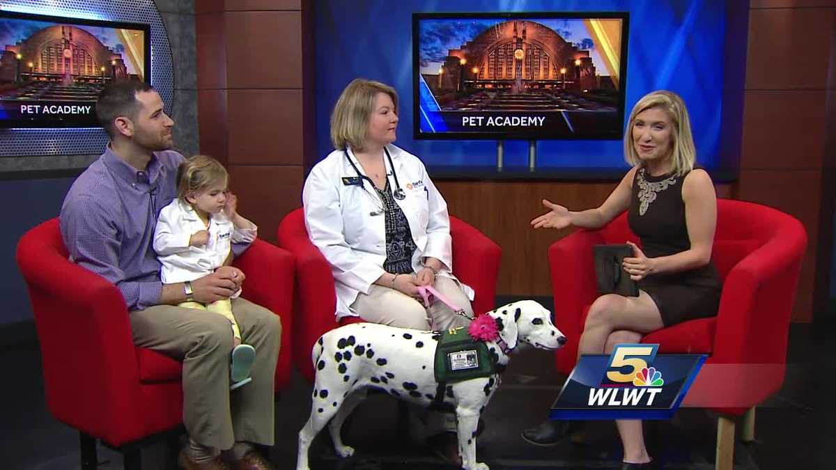 Check out the Pet Academy at the Cincinnati Museum Center