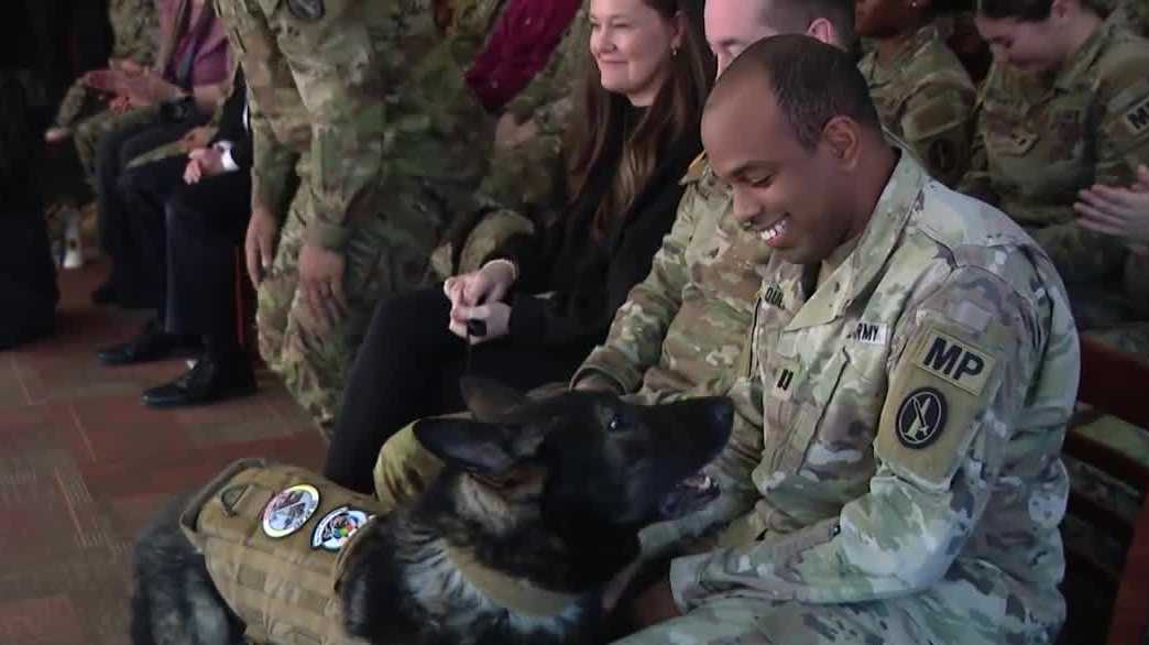 Pentagon's most recognized military working dog retires