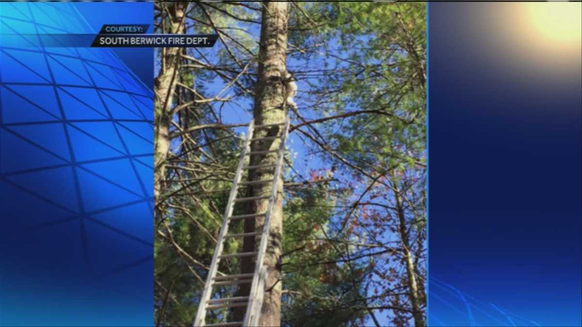 Real life Tom & Jerry unite