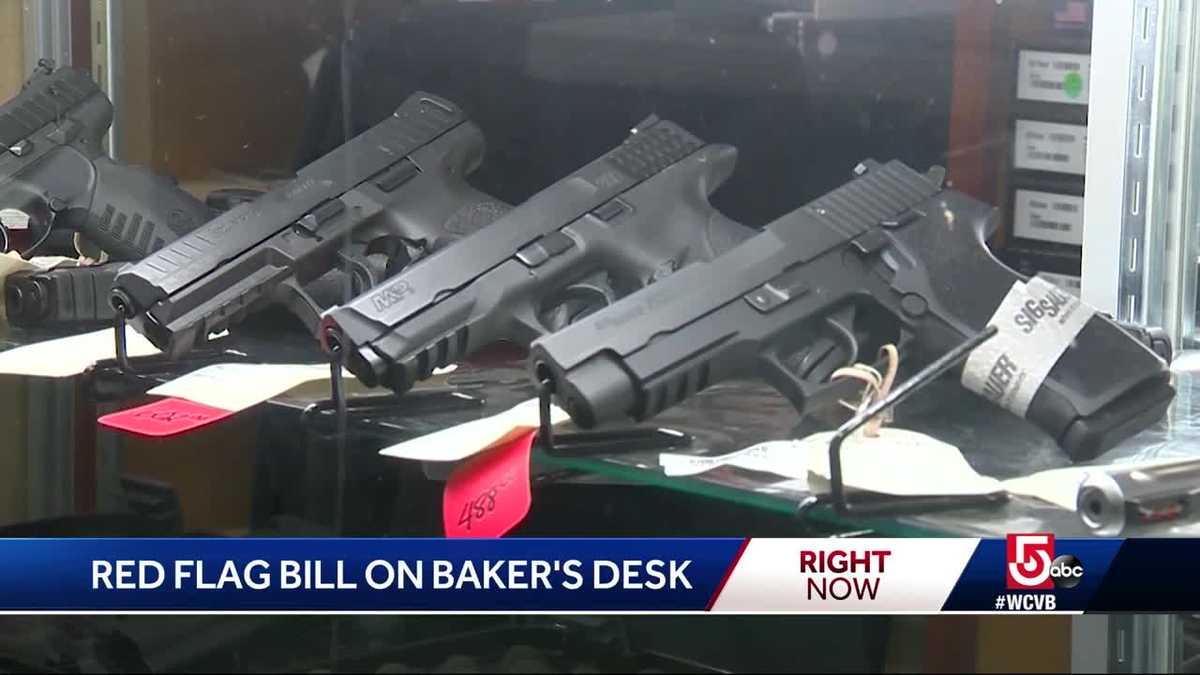 Lawmakers OK 'extreme risk' gun bill in Massachusetts