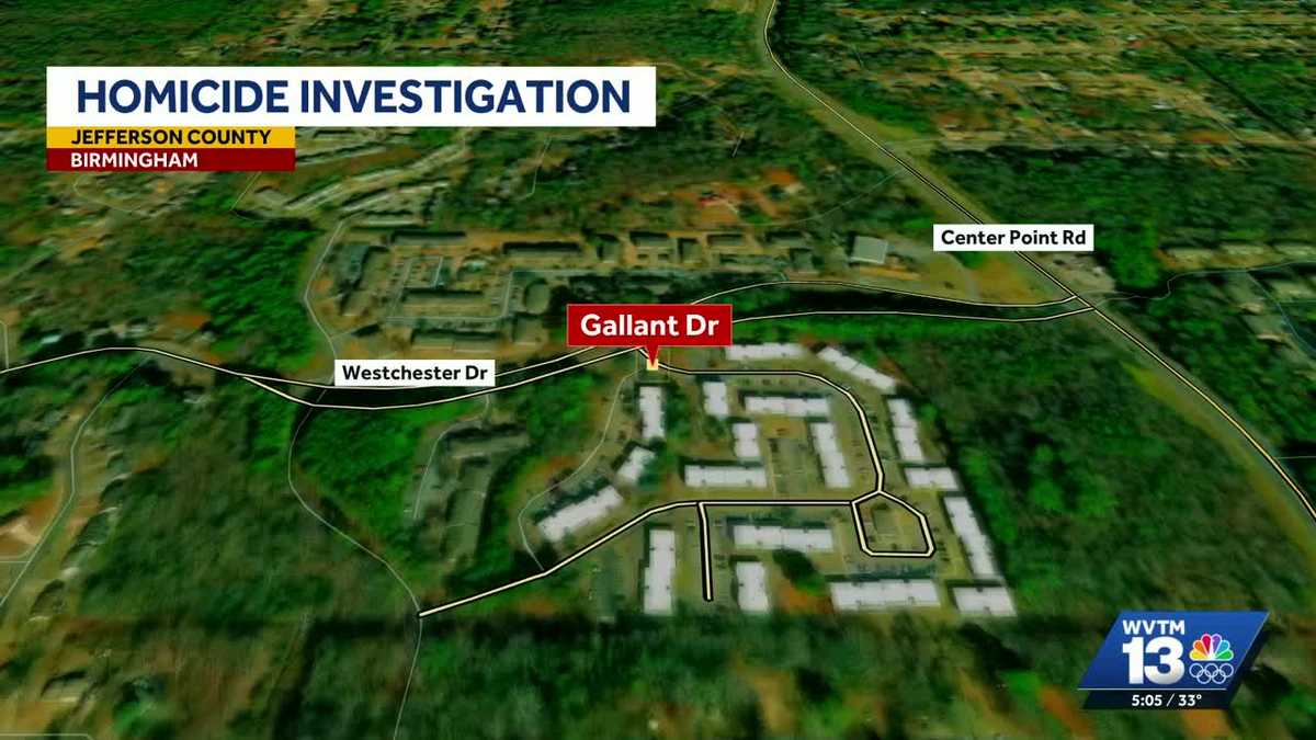 Man killed in Birmingham shooting identified; nephew in custody