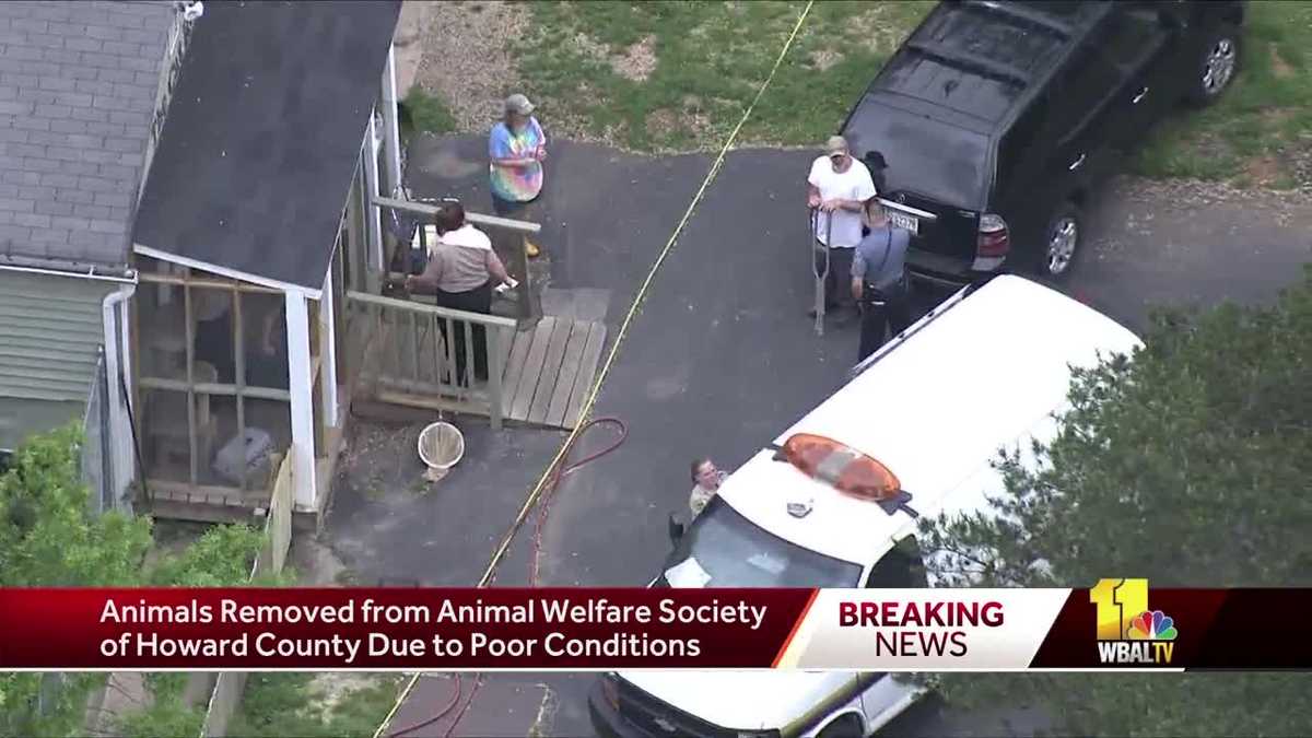 Due to poor conditions, over 100 animals removed from Animal Welfare ...