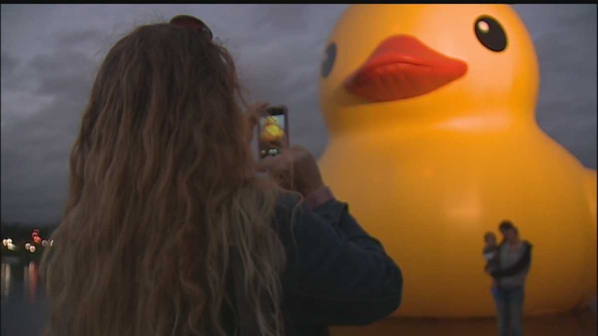Not everyone ready to say goodbye to giant rubber duck
