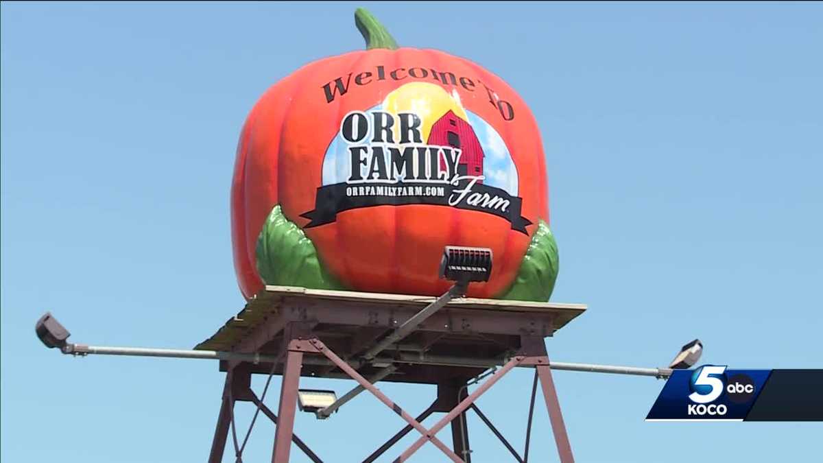 Popular Oklahoma pumpkin patch sees effects of recent heat wave