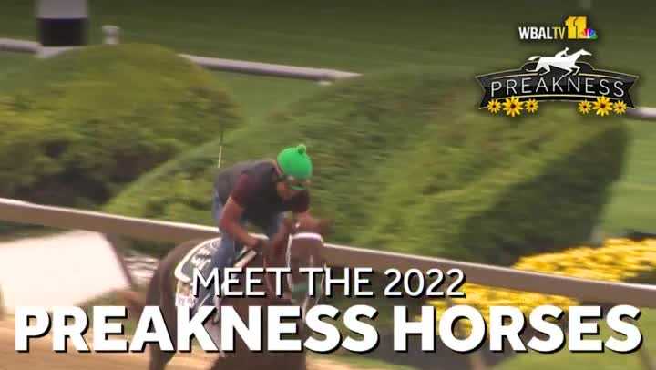 These are the horses running in the 147th Preakness Stakes