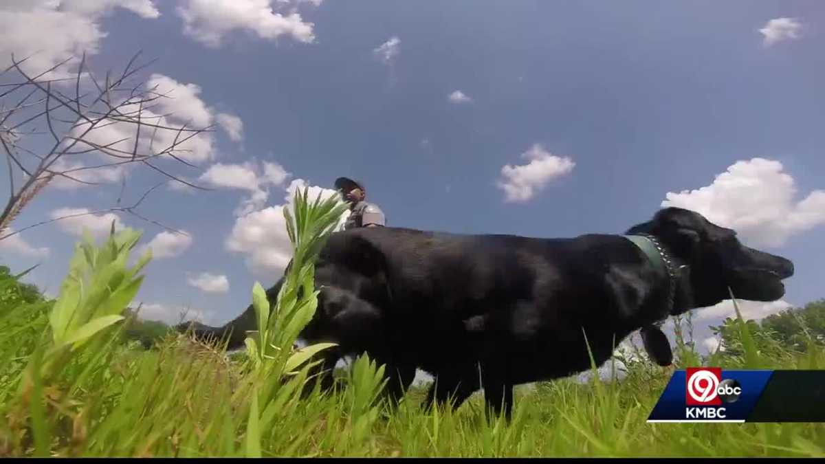 Missouri Department of Conservation launches new canine unit