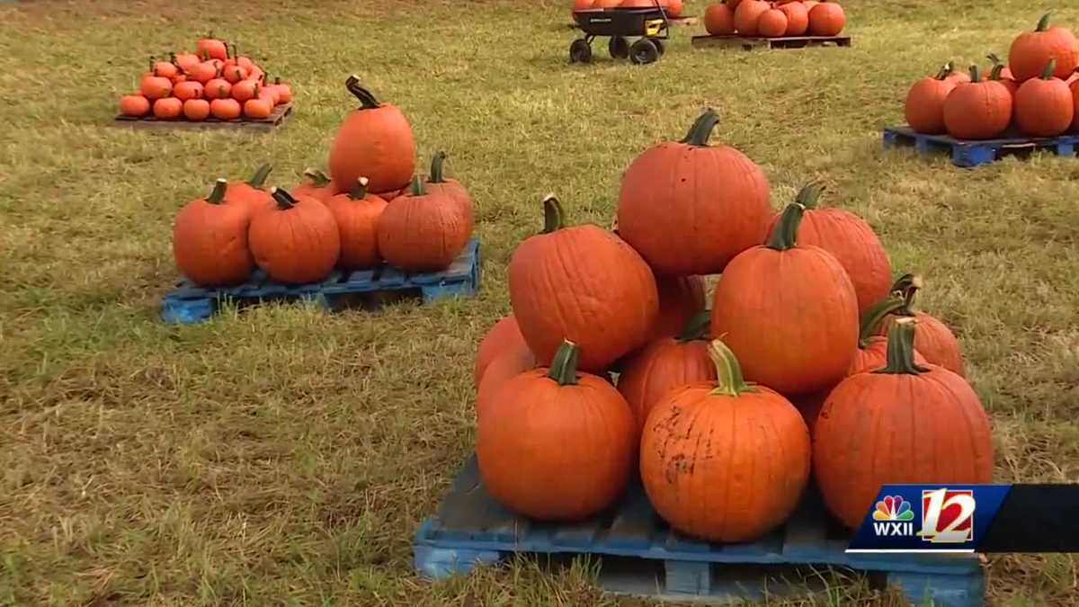 Coronavirus: Dobson farm reopens as family comes together