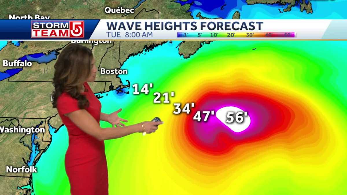 Video: Windy, cool day ahead