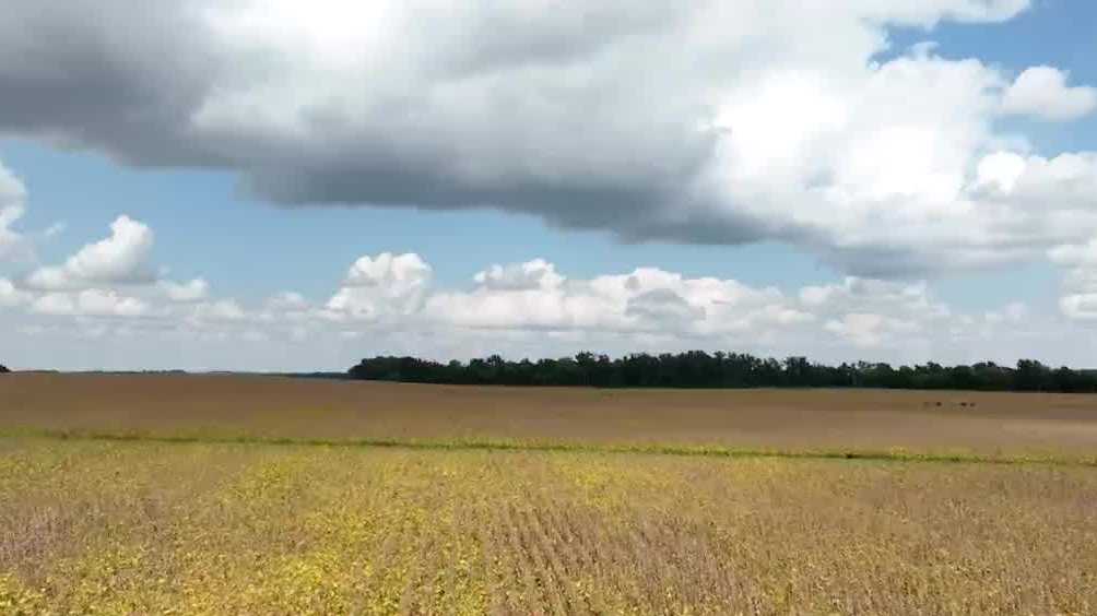 Iowa farmers concerned about crops amidst drought conditions
