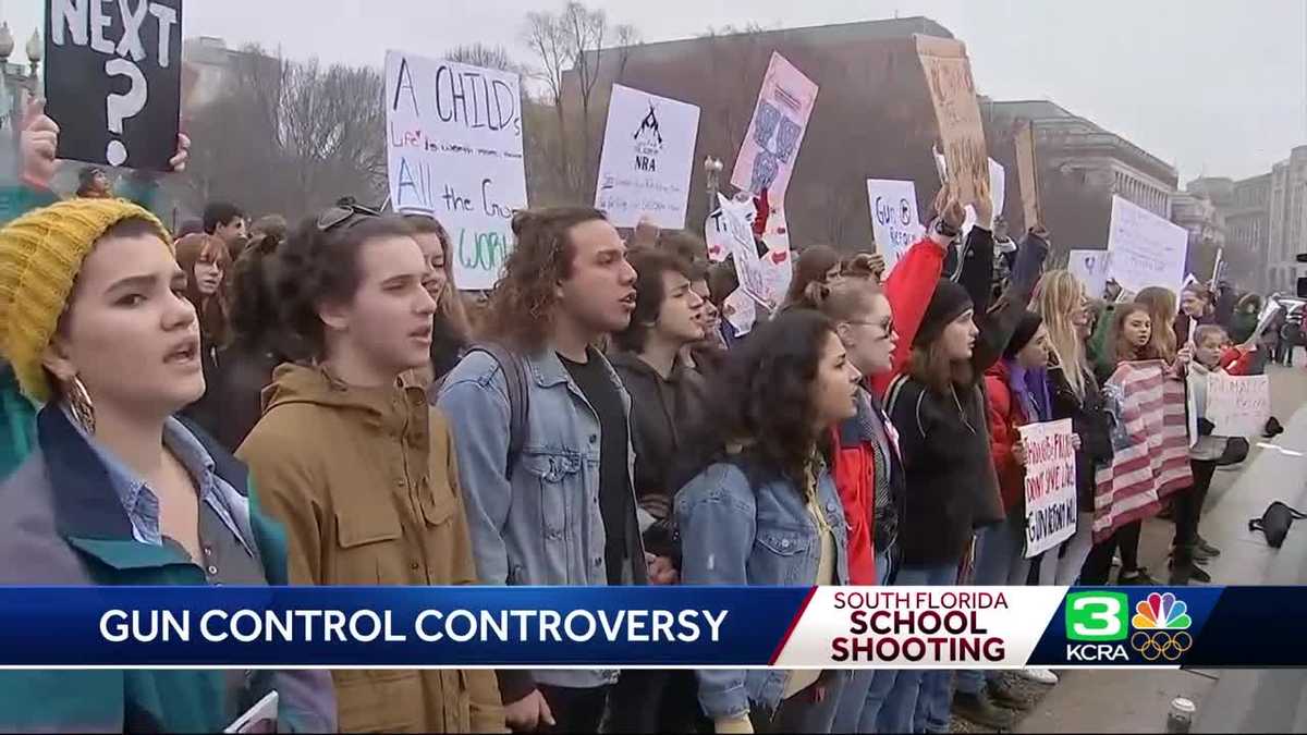 Youth mobilize against gun violence: A new movement?