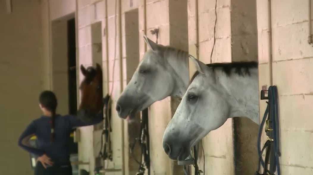 Palm Beach County commissioners tour agricultural reserve, hear ...