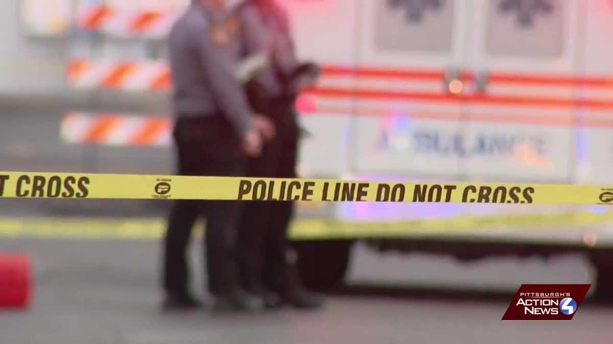 New details in deadly Rochester hit and run that killed child