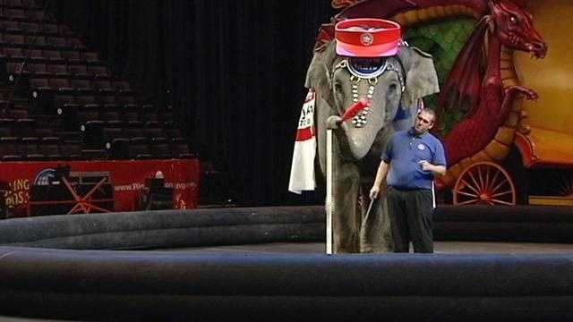 What's it like to pitch to a pachyderm?