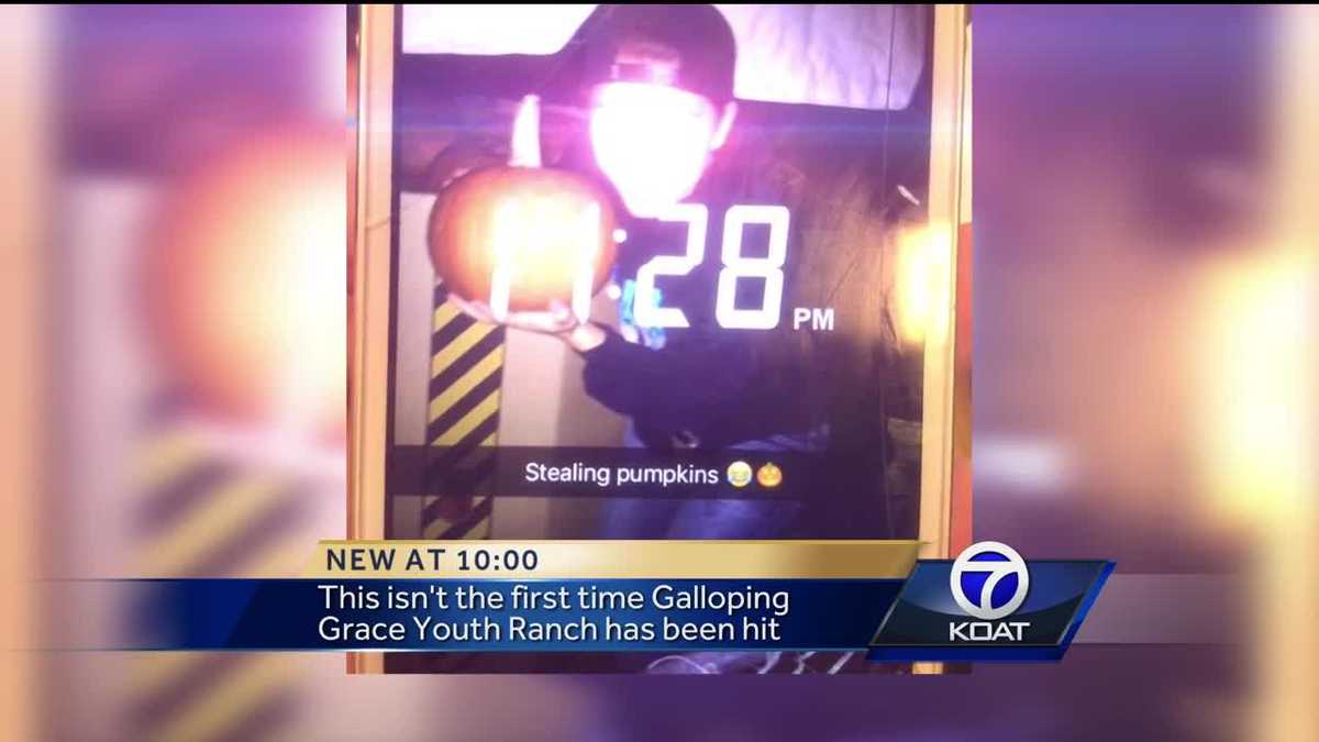 Pumpkin Patch Problems