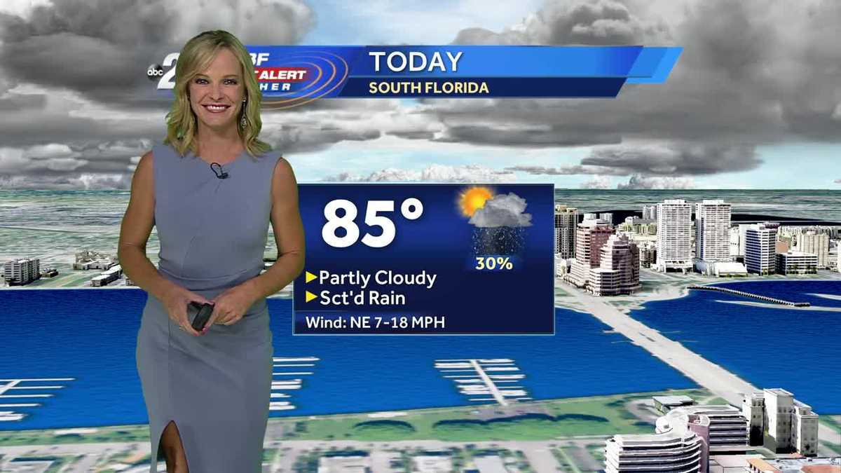 Sandra Shaw's Video Forecast