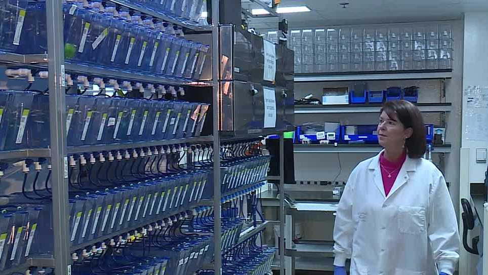 Scientist's life changed after beating a disease she researched