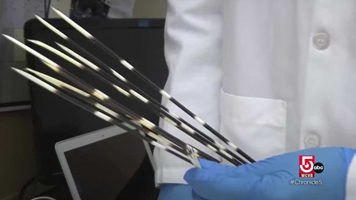 Local scientists create outside-the-box medical solutions