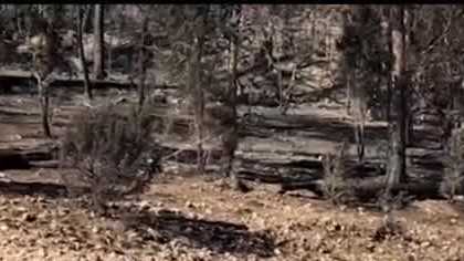 McBride Fire evacuations lifted; many return home to nothing