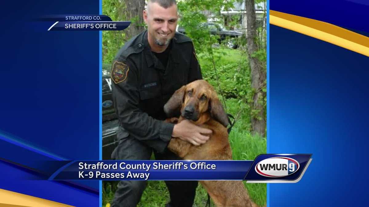 Strafford County Sheriff's Office mourns loss of beloved K-9