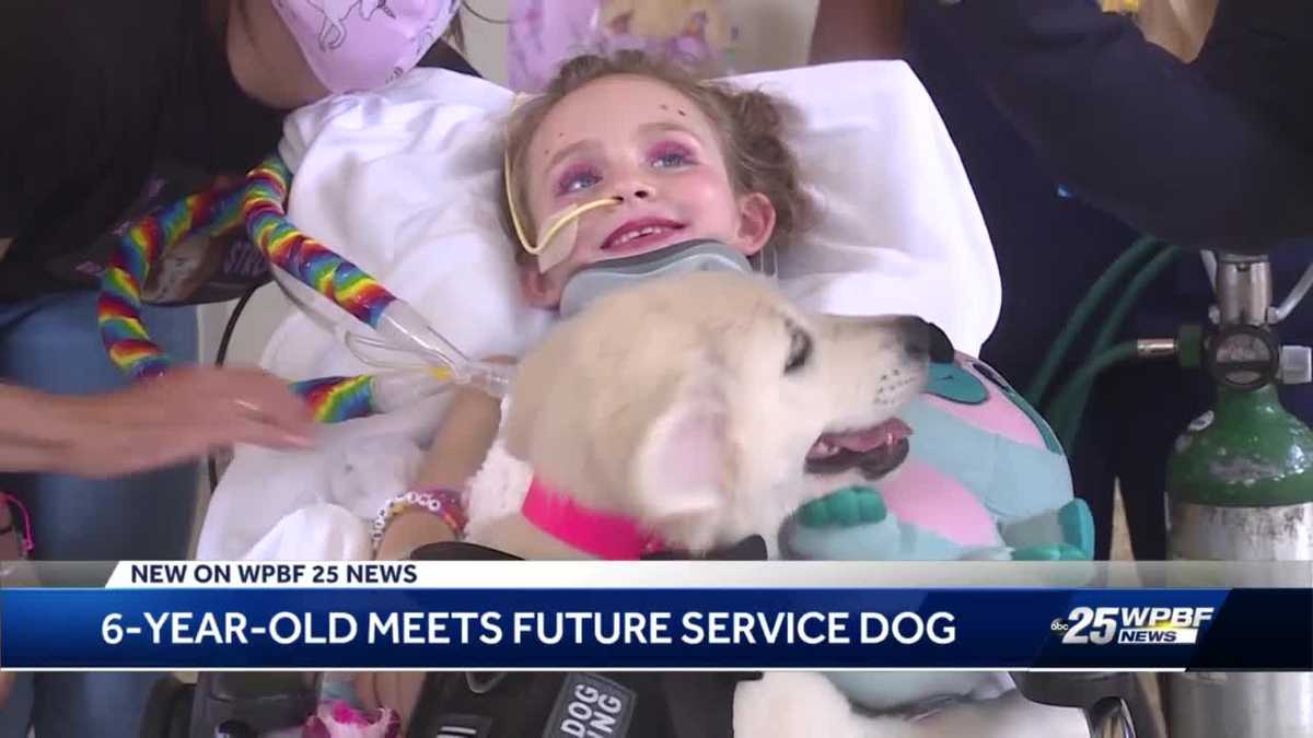 Young girl paralyzed in multi-car accident meets future Young girl paralyzed in multi-car accident meets future