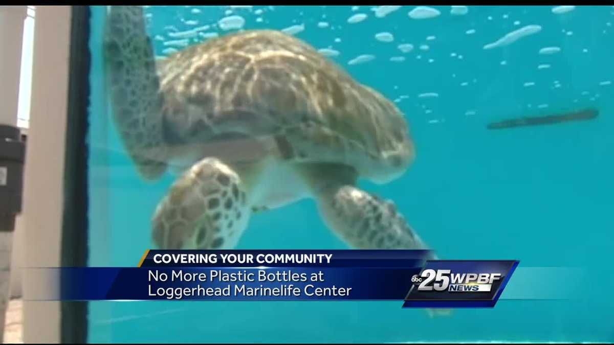 No more plastic bottles allowed at Loggerhead Marinelife Center