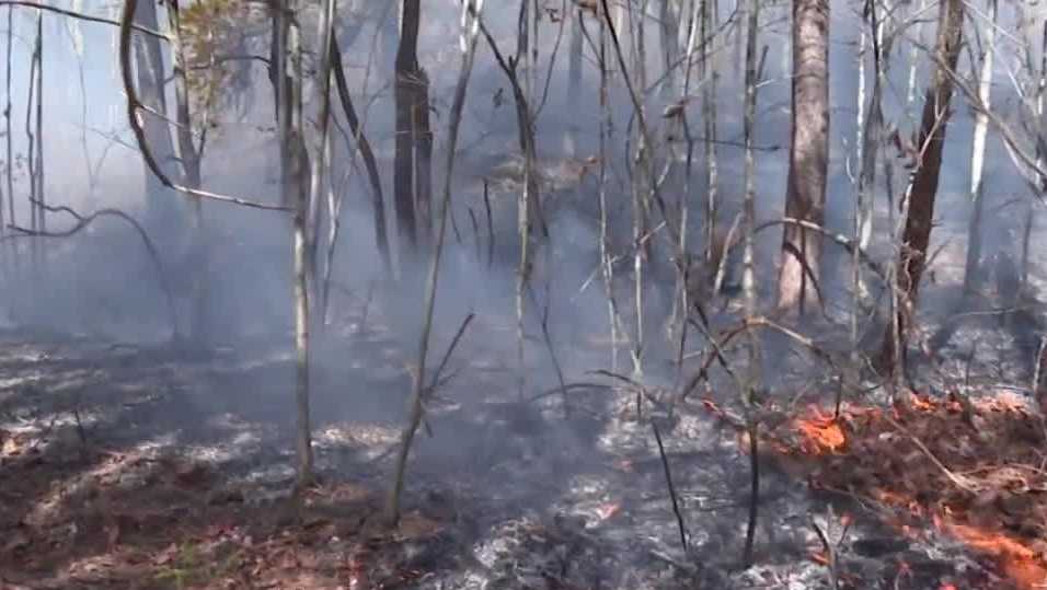 State of emergency declared in Kentucky as wildfires spread