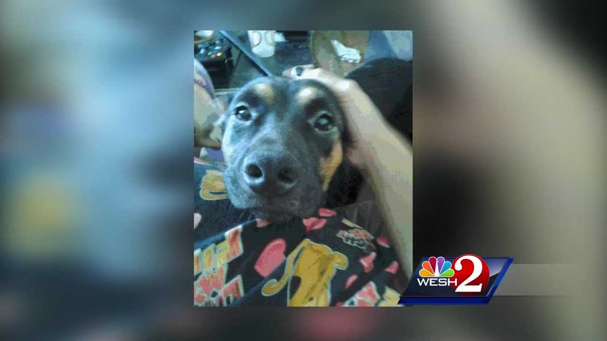 911 call released in fatal dog attack