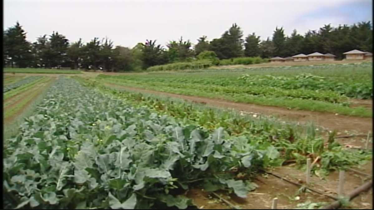 UC Santa Cruz pioneers in organic, sustainable farming