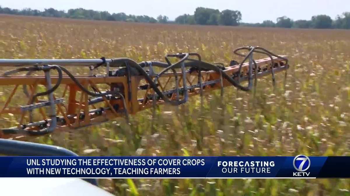 UNL studying the effectiveness of cover crops with new technology
