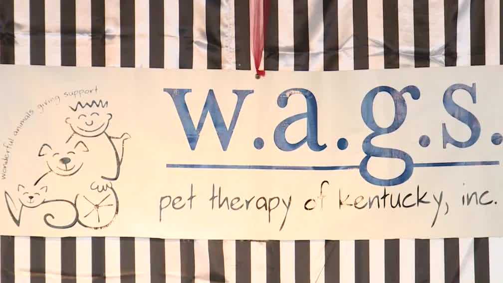 Dogs bring out their best outfits for Derby Dog Fashion Show