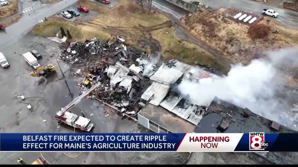 Penobscot McCrum will not rebuild in Belfast