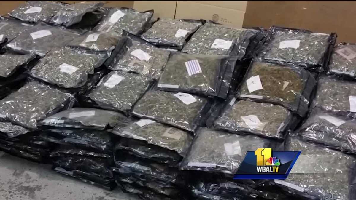 Video: Major drug bust yields $1M worth of marijuana