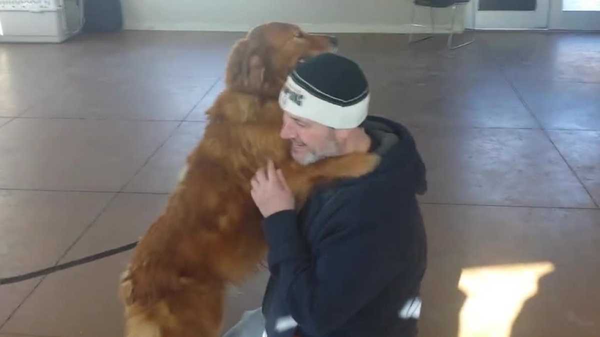 Long lost dog reunited with family after 20 months of separation