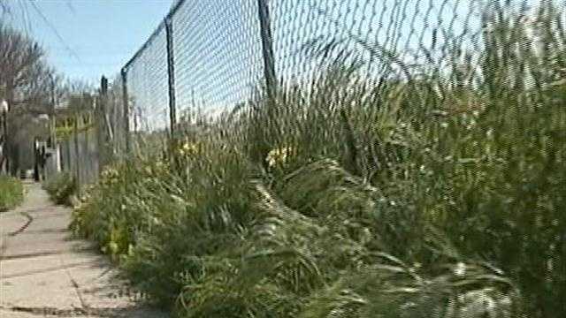 Weed warning issued in Sacramento