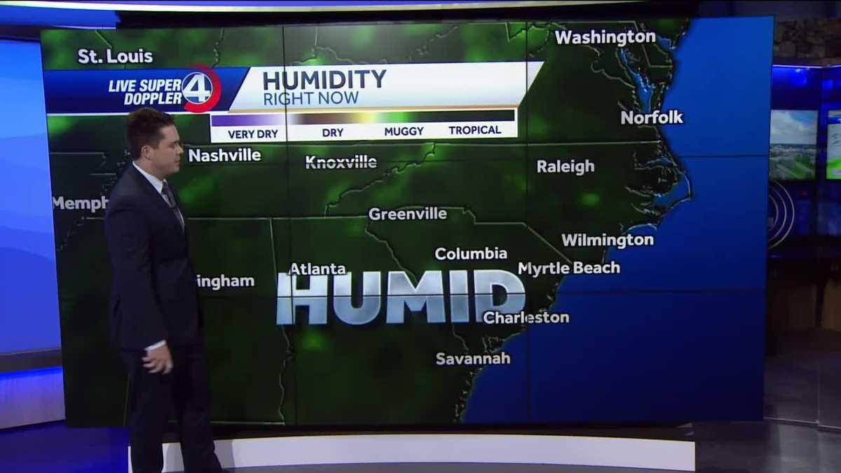 Videocast: Humid Afternoon
