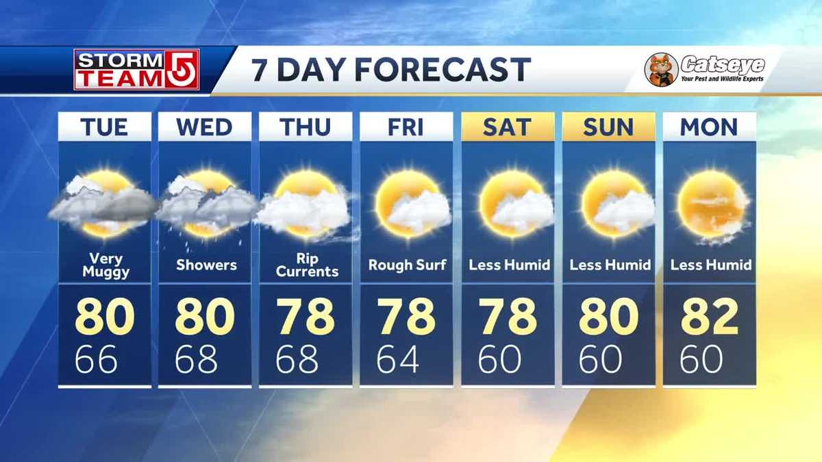 Video: Feel of summer returns to the forecast with early morning storms