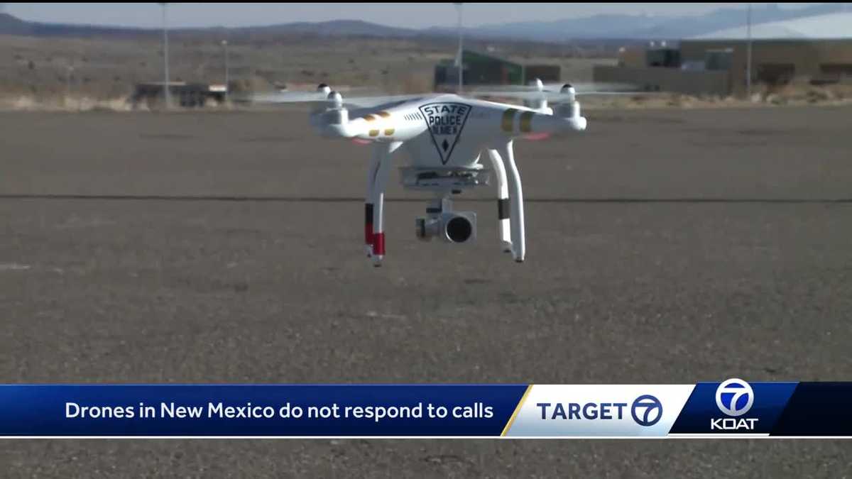 New type of drones could catch criminals in the act
